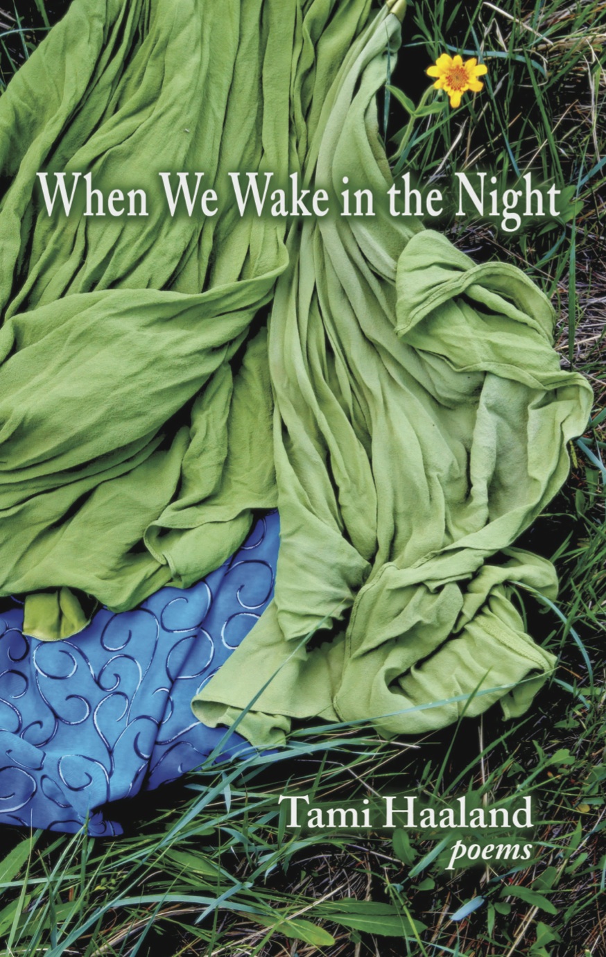 When We Wake In the Night by Tami Haaland - MER - Mom Egg Review