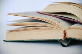 MER Book Review Guidelines - MER - Mom Egg Review