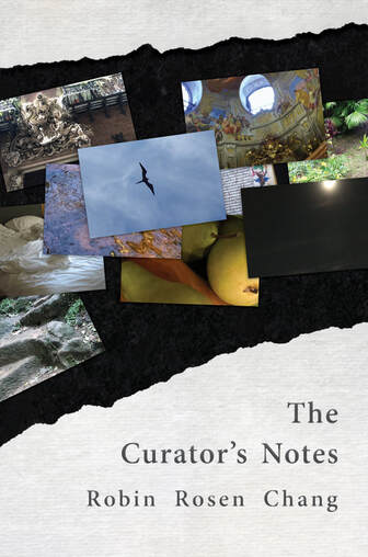 The Curator’s Notes by Robin Rosen Chang - MER - Mom Egg Review