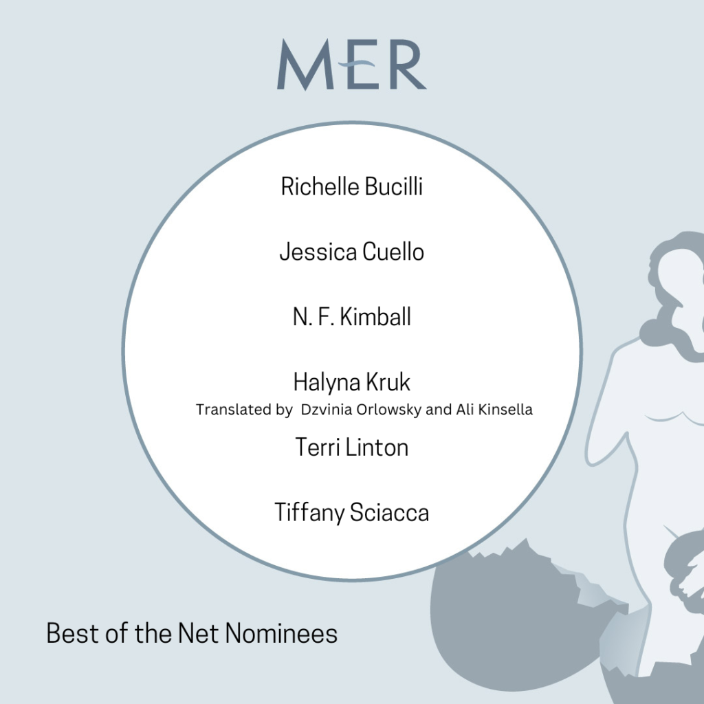 MER's Best of the Net Nomintations - MER - Mom Egg Review