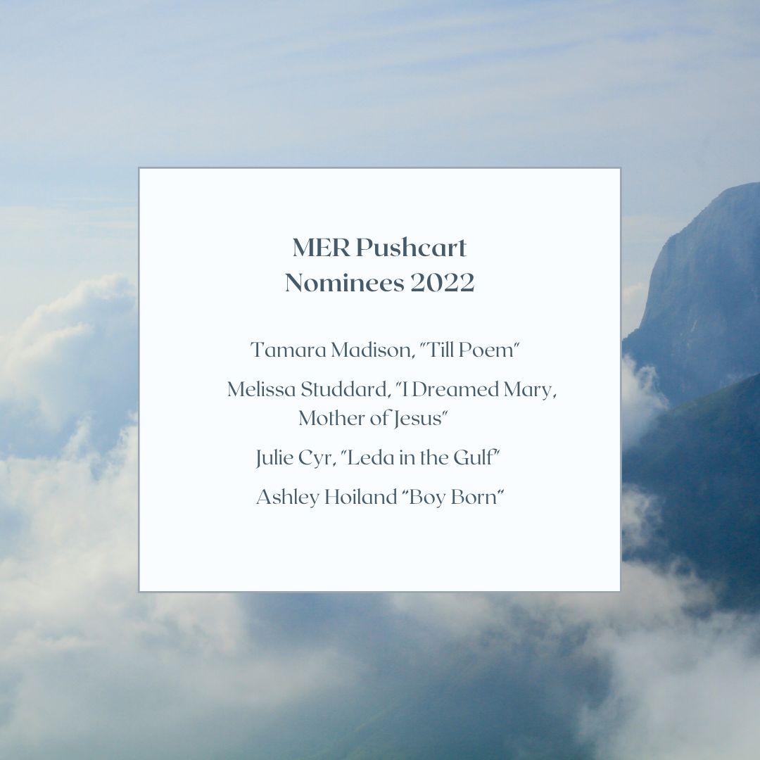 MER Pushcart Nominees - MER - Mom Egg Review