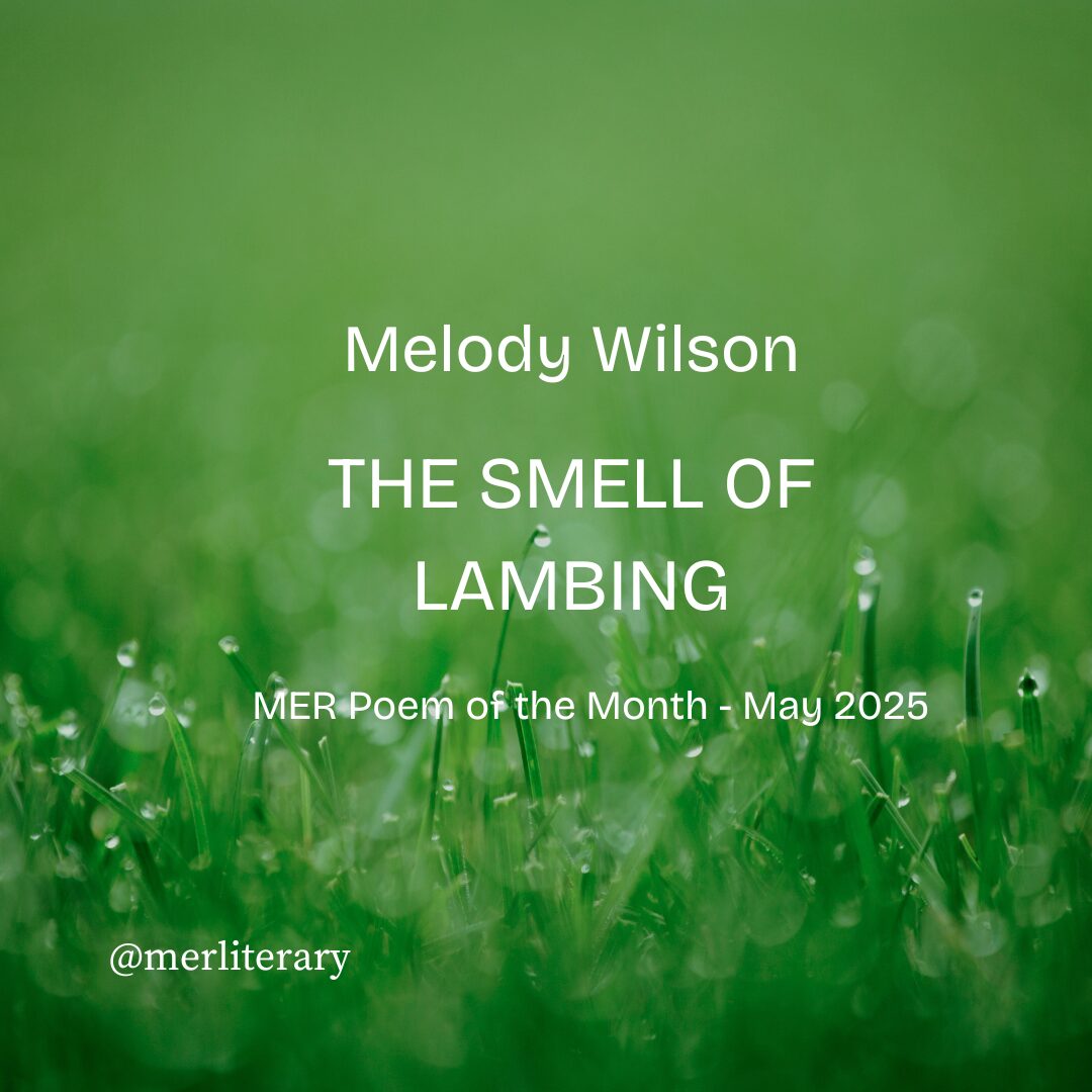 MER Poem of the Month - May 2025 - MER - Mom Egg Review